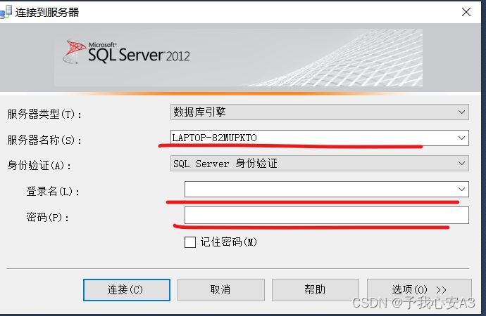 VS2022 sqlserver 
